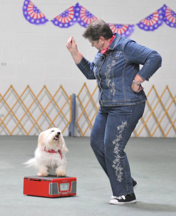 Trick Dog & Freestyle(dancing with your dog) Classes